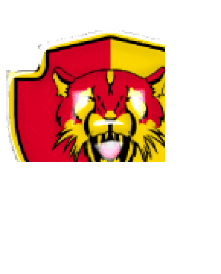 Homepage | Pinewood Football Club