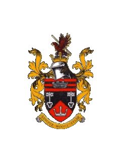 Homepage | Wednesfield Wolves